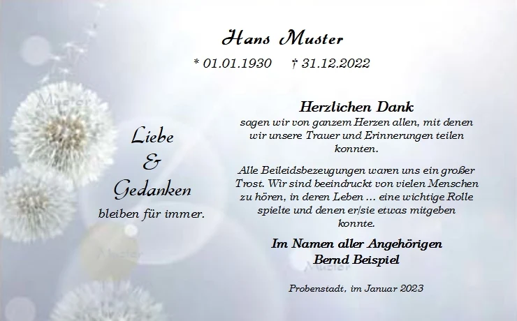 moderne Danksagung zur Trauer ☀ Pusteblume im Sonnenlicht